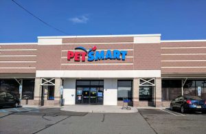 고양이 집사의 미국 펫스마트 (PetSmart) 방문 후기 – 비마이펫 라이프