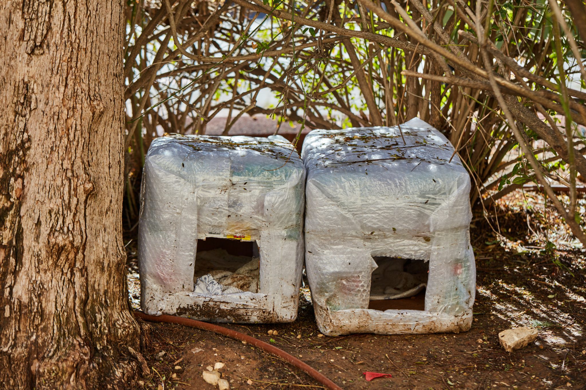길고양이 집 추천 12가지 겨울철 길고양이 돌보는 꿀팁까지 비마이펫 라이프