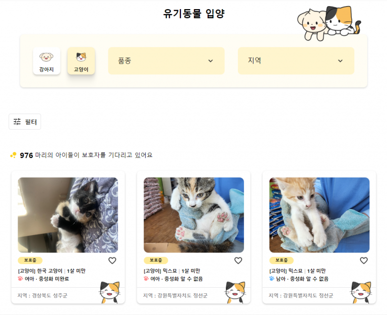 고양이 입양 유기묘가 가족을 기다려요 비마이펫 라이프